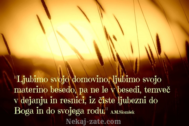 Lepa misel zate - 11 • Nekaj Zate